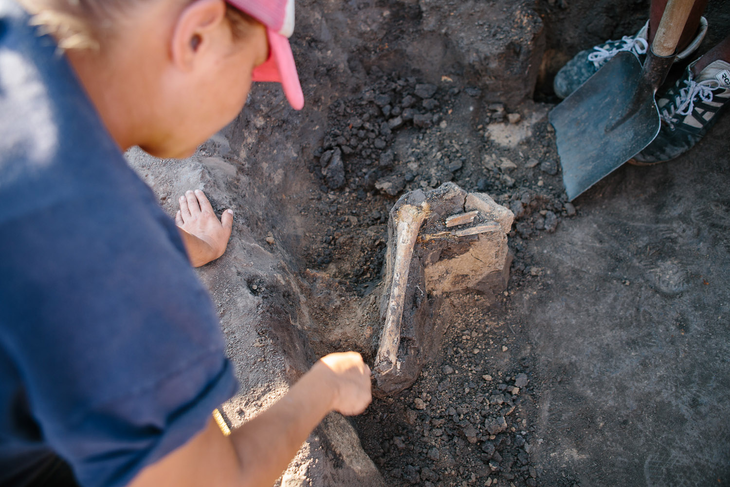 The secrets of the Bilsk hillfort • Ukraїner